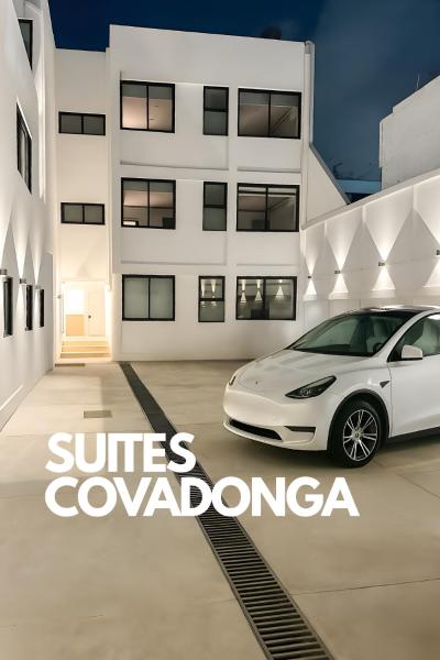 Toronja C O V A D O N G A - Mexico city, Mexico