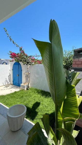 Dar Omi Aïcha 2 - Tunisia