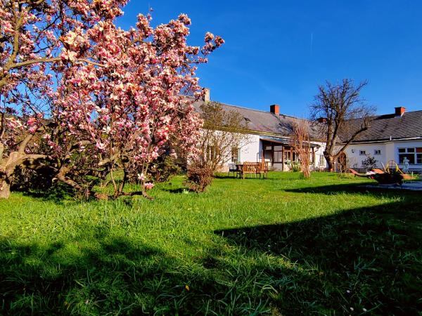Gemütliche Landhauswohnung - Niederösterreich