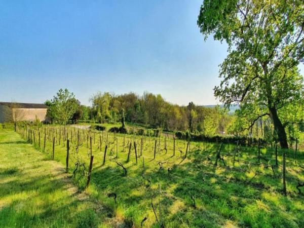 Magnificent Holiday Home With Pool In Thenon - Montignac