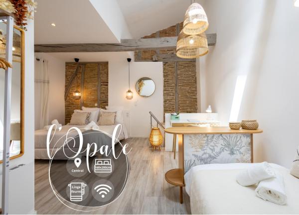 L'opale - Duplex Calme En Hypercentre - Castres