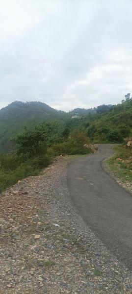 The Hill Crest, Fagu - Theog