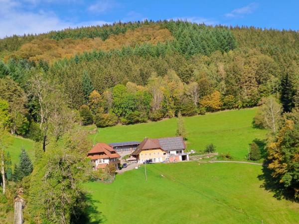 Ferienwohnung Hof - Hornberg