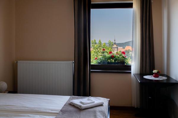 Panorama Guesthouse - Sighișoara
