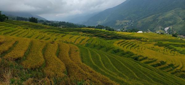 Nhà Nghỉ Dân Tộc Mông - Vietnam