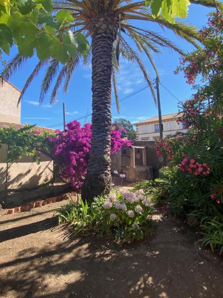 Villa De Plein Pied à Proximité Du Port De Porquerolles - Hyères