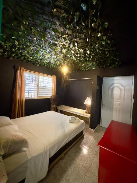 Bed-breakfast Lunch Tropical Private-room - Dominican Republic