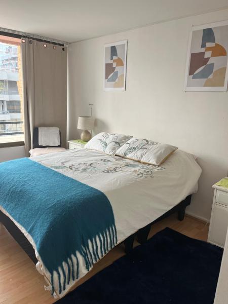 Cozy Apartment In The Center Of Providencia, Acogedor Departamento En El Centro De Providencia - Providencia