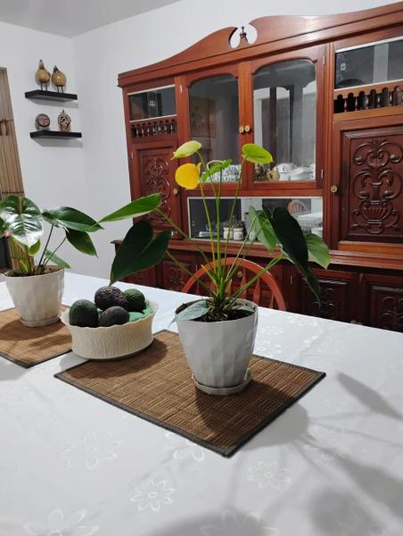 Colibri Hostel - La Libertad (Peru)