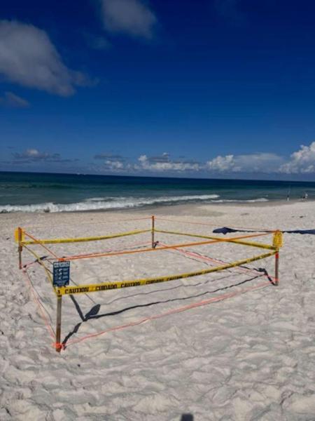 Beachcomber - Beachfront With Pool And Hot Tub - On The Beach! - Florida Panhandle, FL