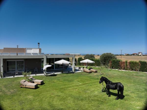 Gf Luxury Villa With Indoor Pool -Afytos - Halkidiki