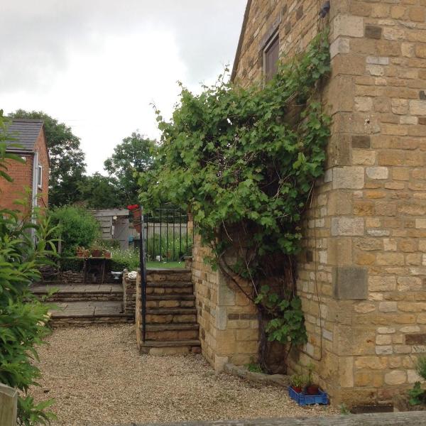 Hops And The Vines - Chipping Norton