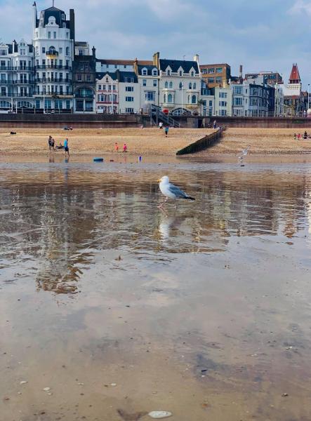 Sea Spray Victorian Apartment - Hastings, UK
