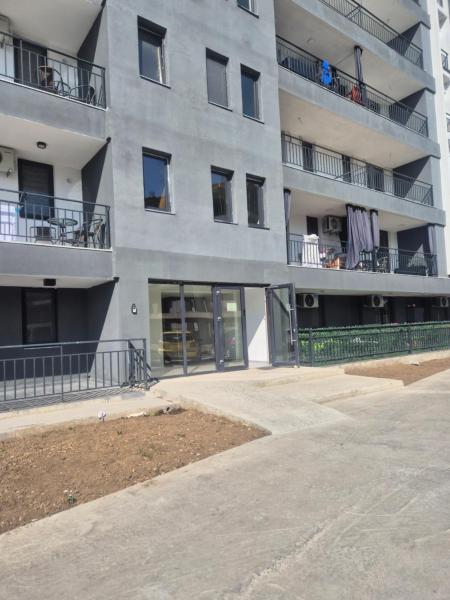 Saturn Studio - Mangalia