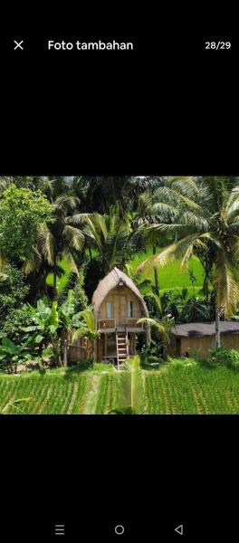 Tiny Eco Bamboo House - Ubud