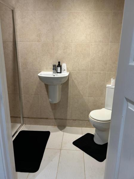 Silver Birch Close - Dartford