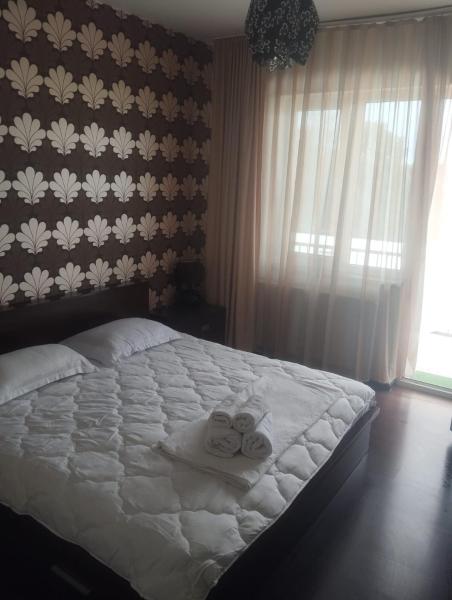 Zlata Nordic 5h Apart Private Parking - Botoşani