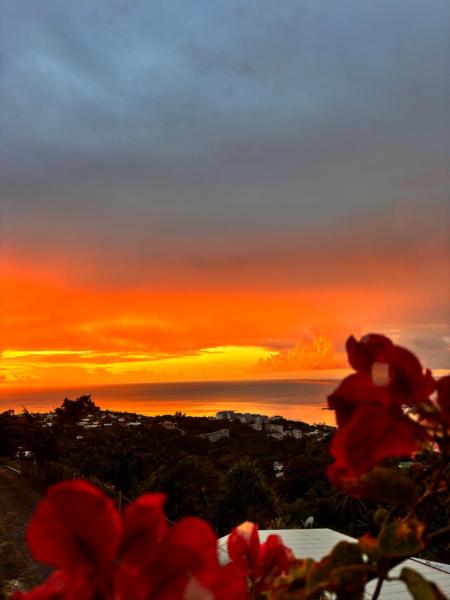 Airport Pamatai Room - Tahiti