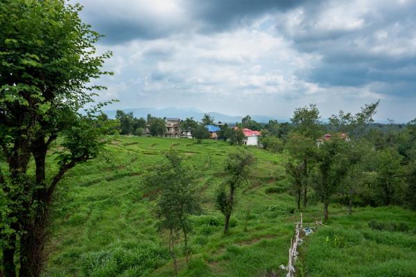 Nature's View Kandwari - Palampur