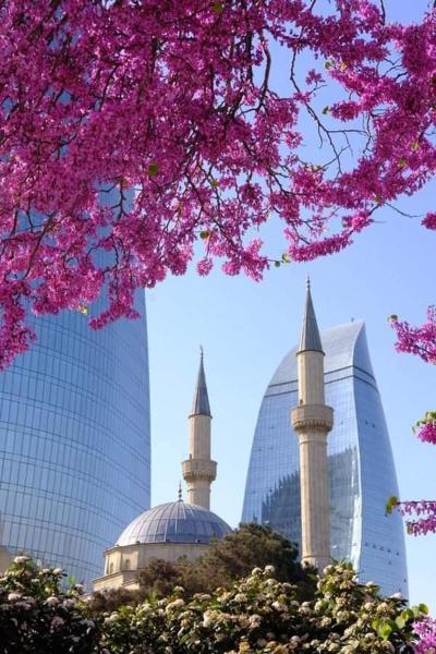 Friends Hostel - Baku