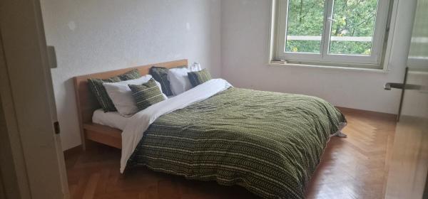 Chambre à Louer Chez L'habitant Lausanne Centre - Lausanne
