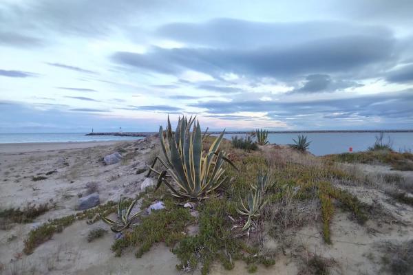 Appartement T2 Dans Village Naturiste En Bord De Mer - La Franqui