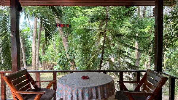 Zen Forest - Ko Pha Ngan