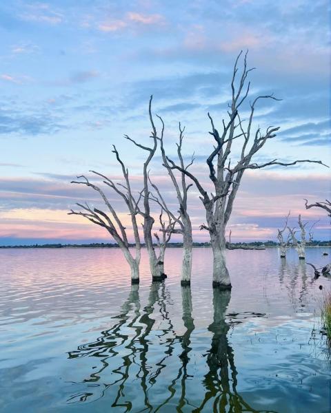 Bonney Shores - Barmera