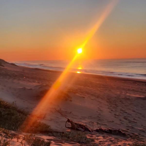 403 Dromedaris On The Beach - Amanzimtoti