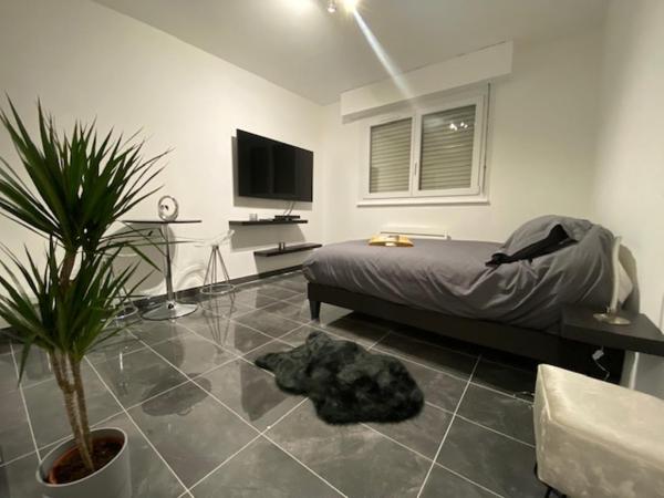 Charmant Studio - Estrasburgo