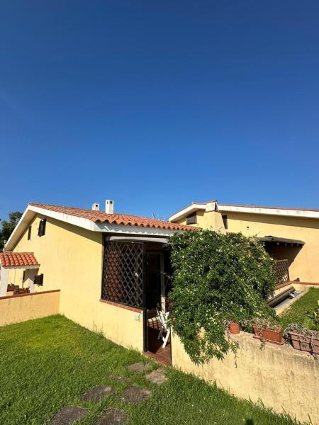 Grillo Del Faro - Palau