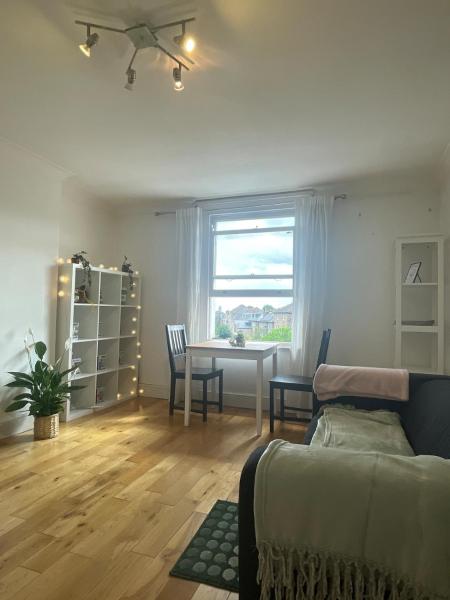Amazing View - 1-bedroom Flat - 35 Mins To Heathrow, 30 Mins To China Town - 하운슬로