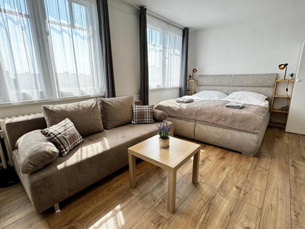 Smarty Choice Living With Free Parking - Vondroušova - Kladno