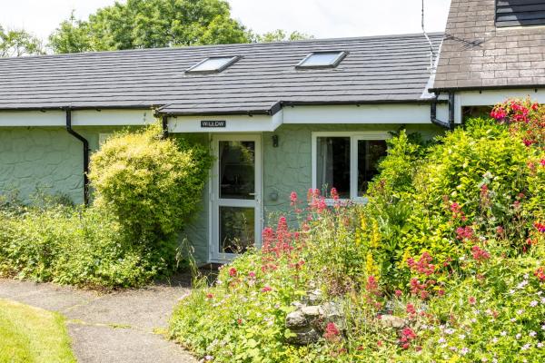 Willow At Gorslwyd - Sound Retreat - Aberporth