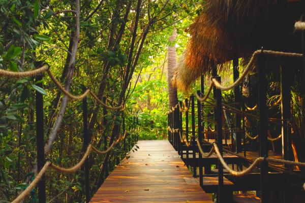 Hotel Noga - Mazunte
