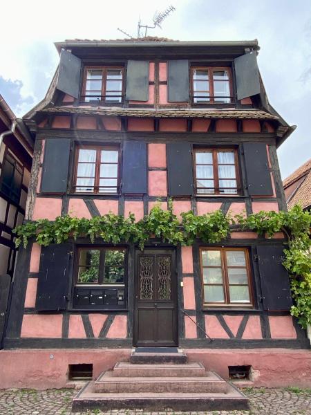 Appartement De Caractère Au Calme 15 Mins Quartier Historique, Gîte Du Merlenchanteur - Strasbourg