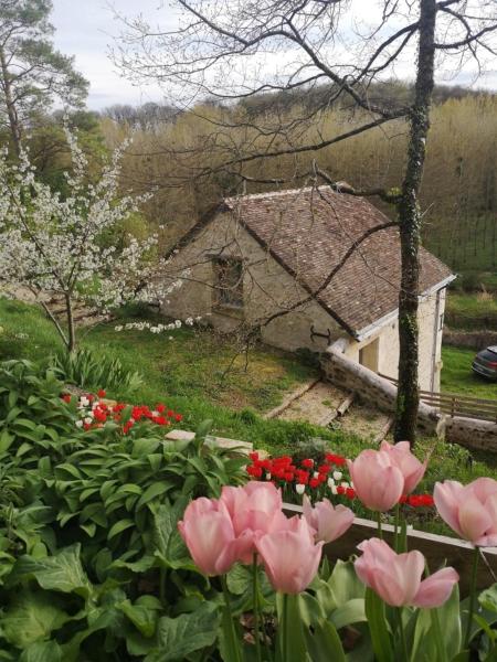 Cottage En Nature Le Pigeonnier De La Manse - Trogues