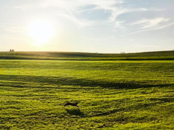 Allgäu Casa - Immenstadt