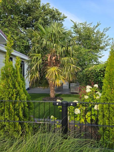 Chalet Dune Chaletpark Krabbenkreek Sint Annaland - Bruinisse