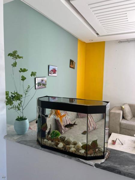 Modernes Appartement - Sousse