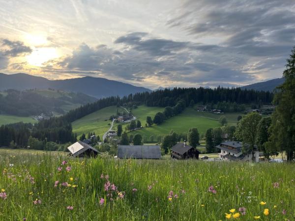 Peterlehen Appartements - Zauchensee