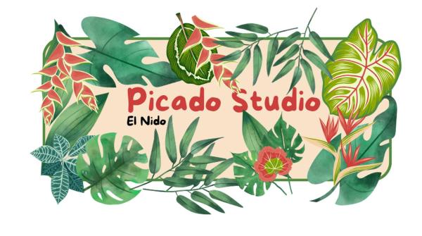 Picado House - El Nido