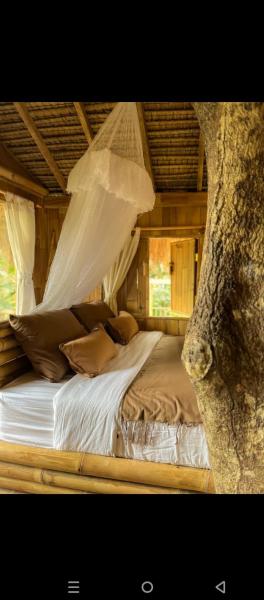 Tree Bamboo House - Bali