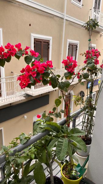 Home Sicilia - Sant'Agata di Militello