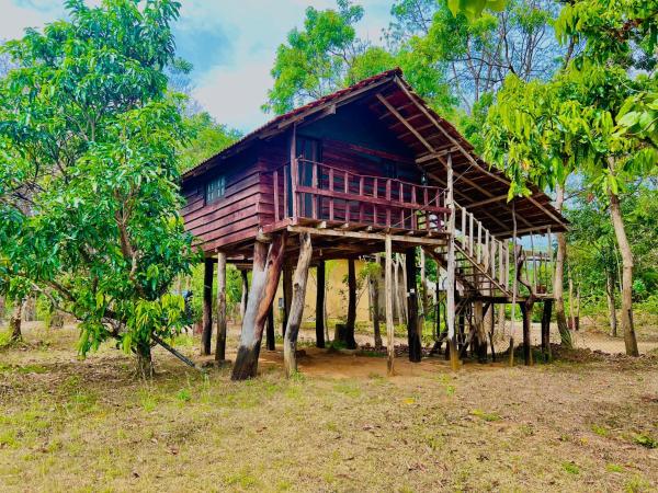 New Eagles Wings Resort - Sri Lanka