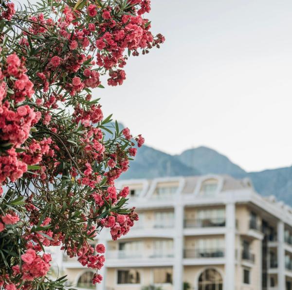 Hotel Nobo Nest - Dalhousie