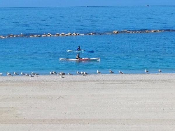 Il Rifugio Del Mare - Salerno