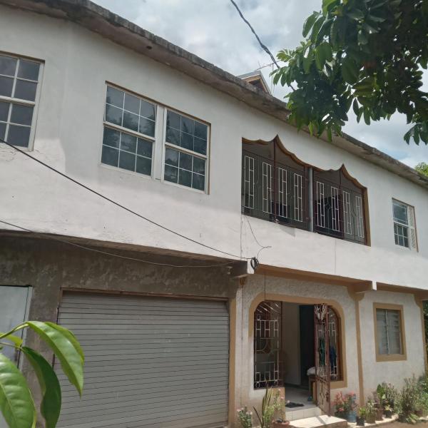 Apple Hide Away - Jamaica