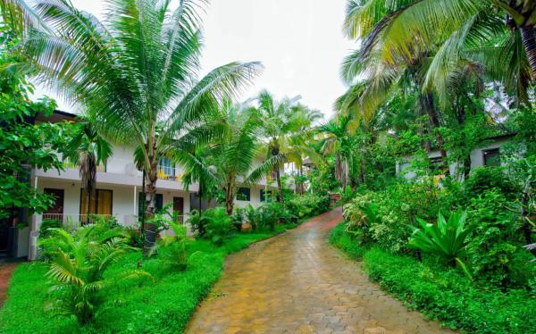 La Roca Inn - Anjuna