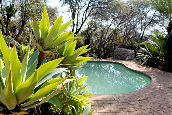 Ndlovu 41 Inside The Dinokeng Big 5 Game Reserve - Hammanskraal